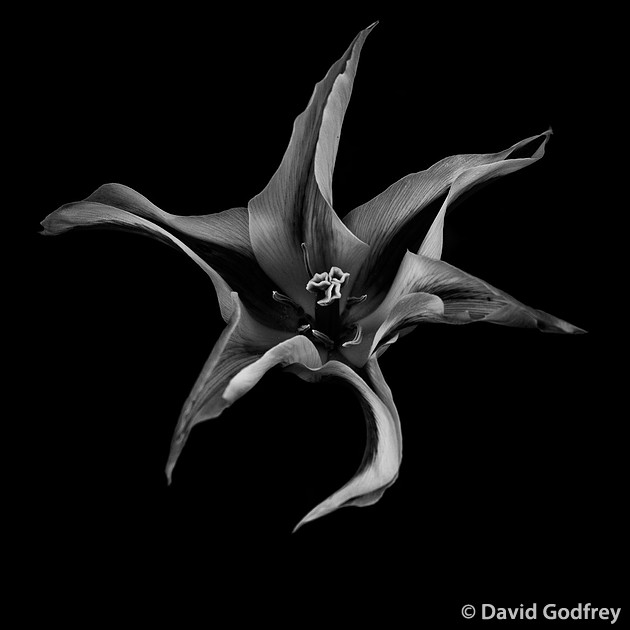 David Godfrey | JUNE 20 NNLS GREEN FINAL | Photo 13